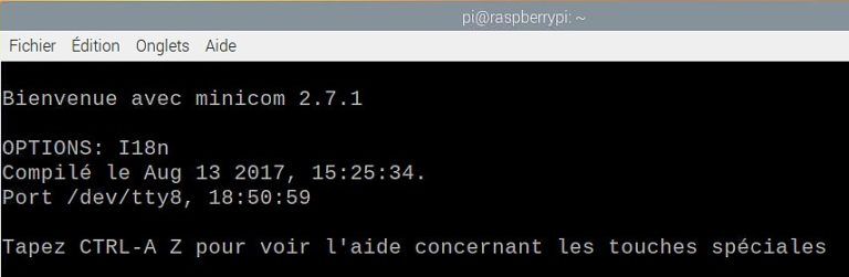 Utiliser l'UART - Port série du Raspberry Pi 4 - Framboise 314, le ...