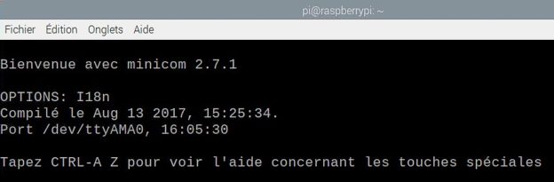 Utiliser l'UART - Port série du Raspberry Pi 4 - Framboise 314, le ...