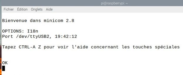 Carte GSM 4G/LTE Nadhat MK2 - USB et HAT Raspberry Pi avec SimCom ...